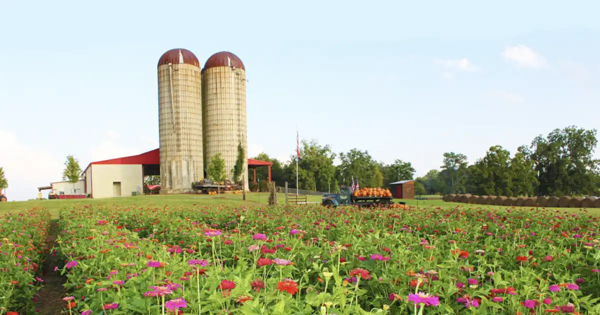 Southern Belle Farm - Visit McDonough